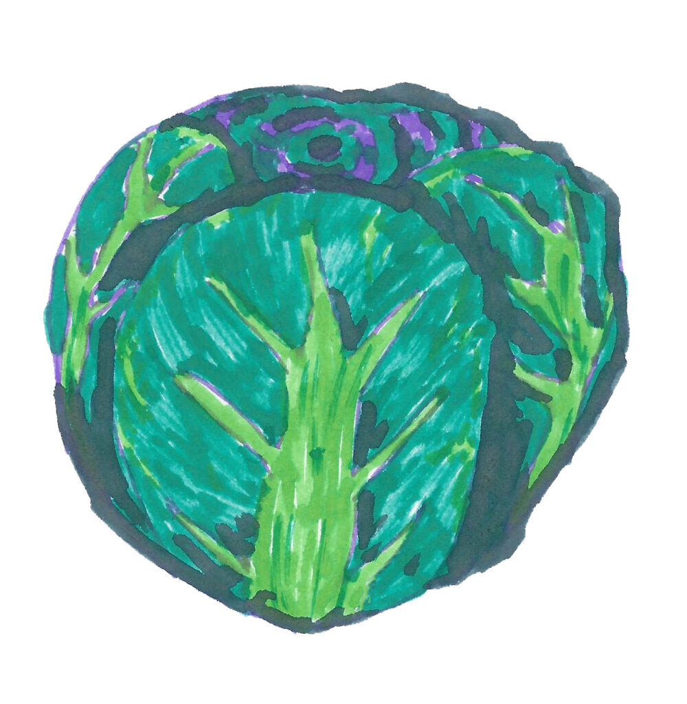 The Skunk Cabbage - Hopeless Vendetta